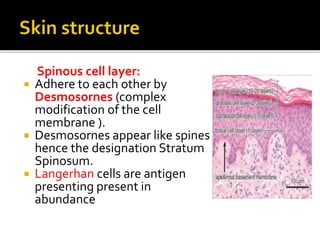 Introduction to dermatovenerology.pptx