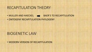 Introduction to developmental biology | PPTX