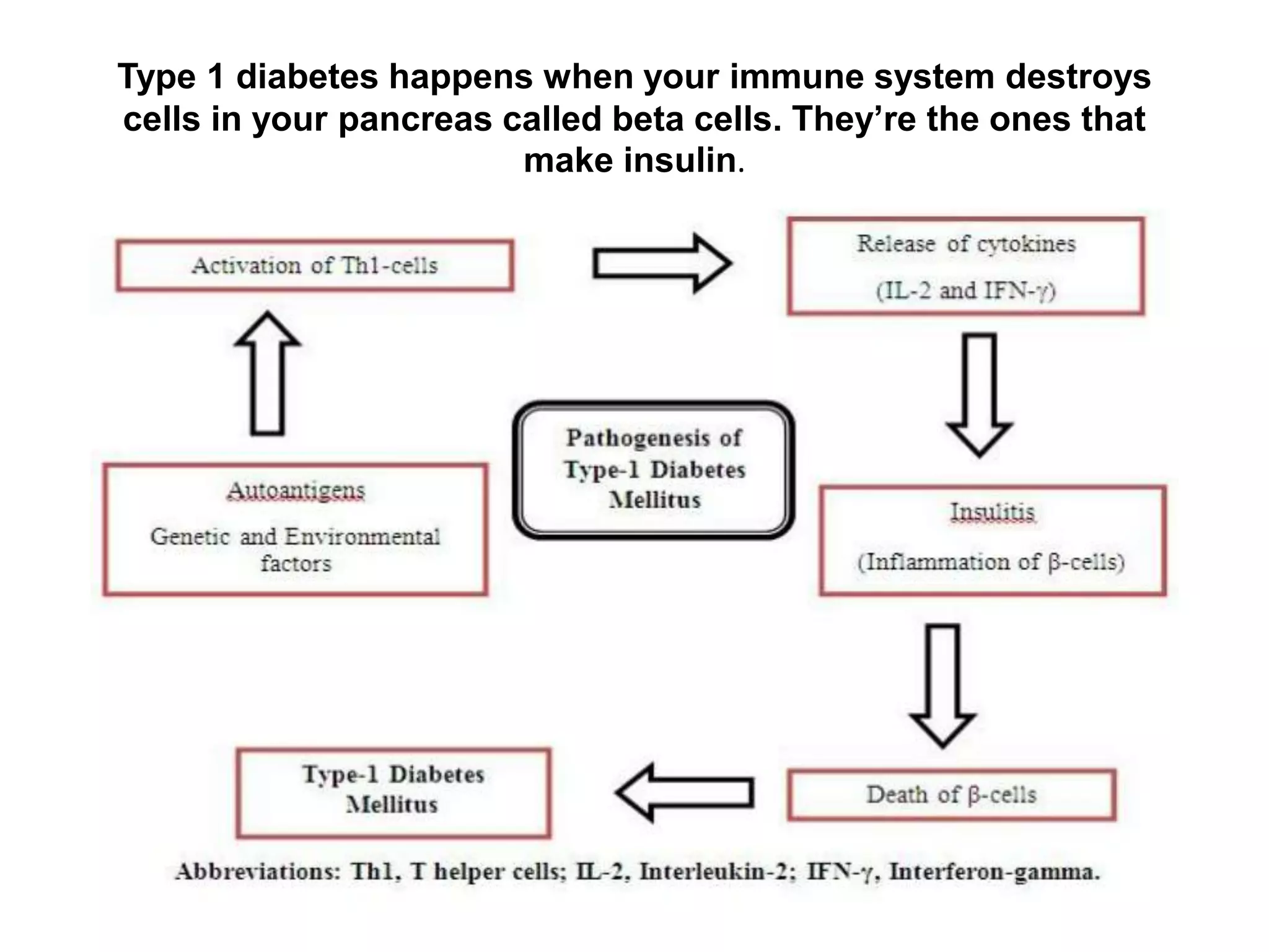 Introduction to diabetes and anti diabetic drug screening models | PPTX