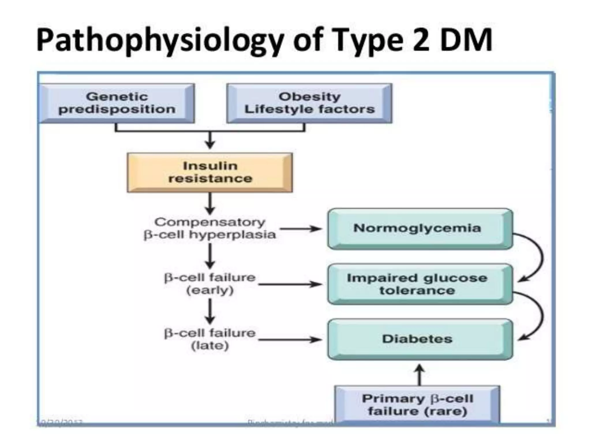 Introduction to diabetes and anti diabetic drug screening models | PPTX