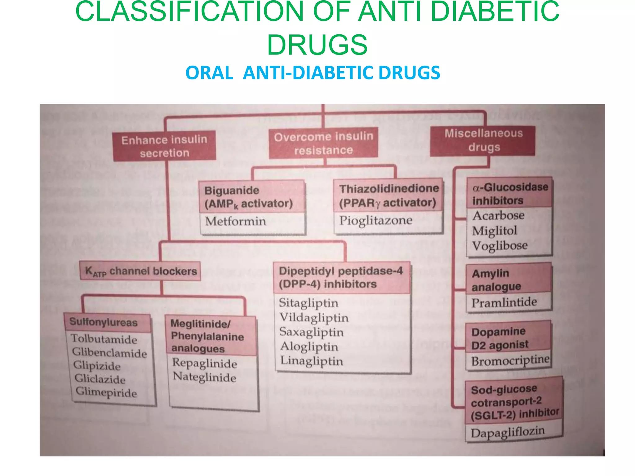 Introduction to diabetes and anti diabetic drug screening models | PPTX