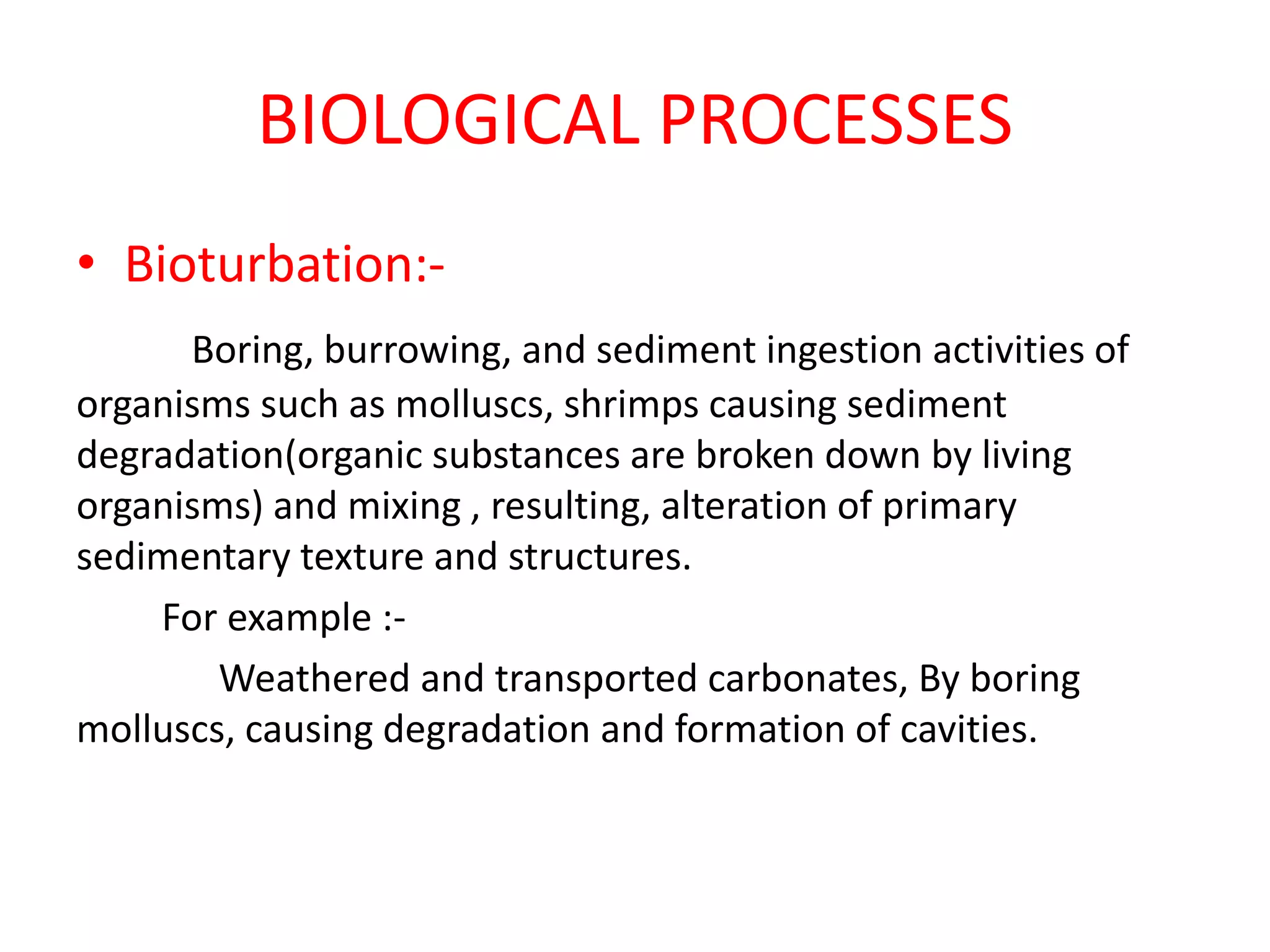 Introduction to diagenesis | PPTX