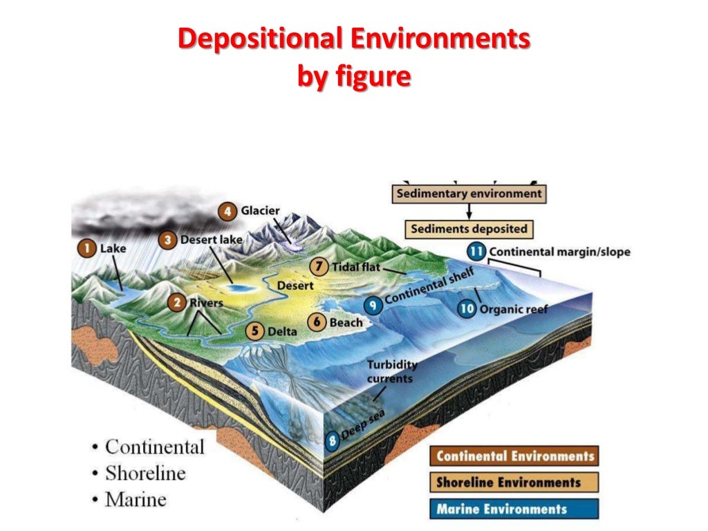 Introduction to diagenesis