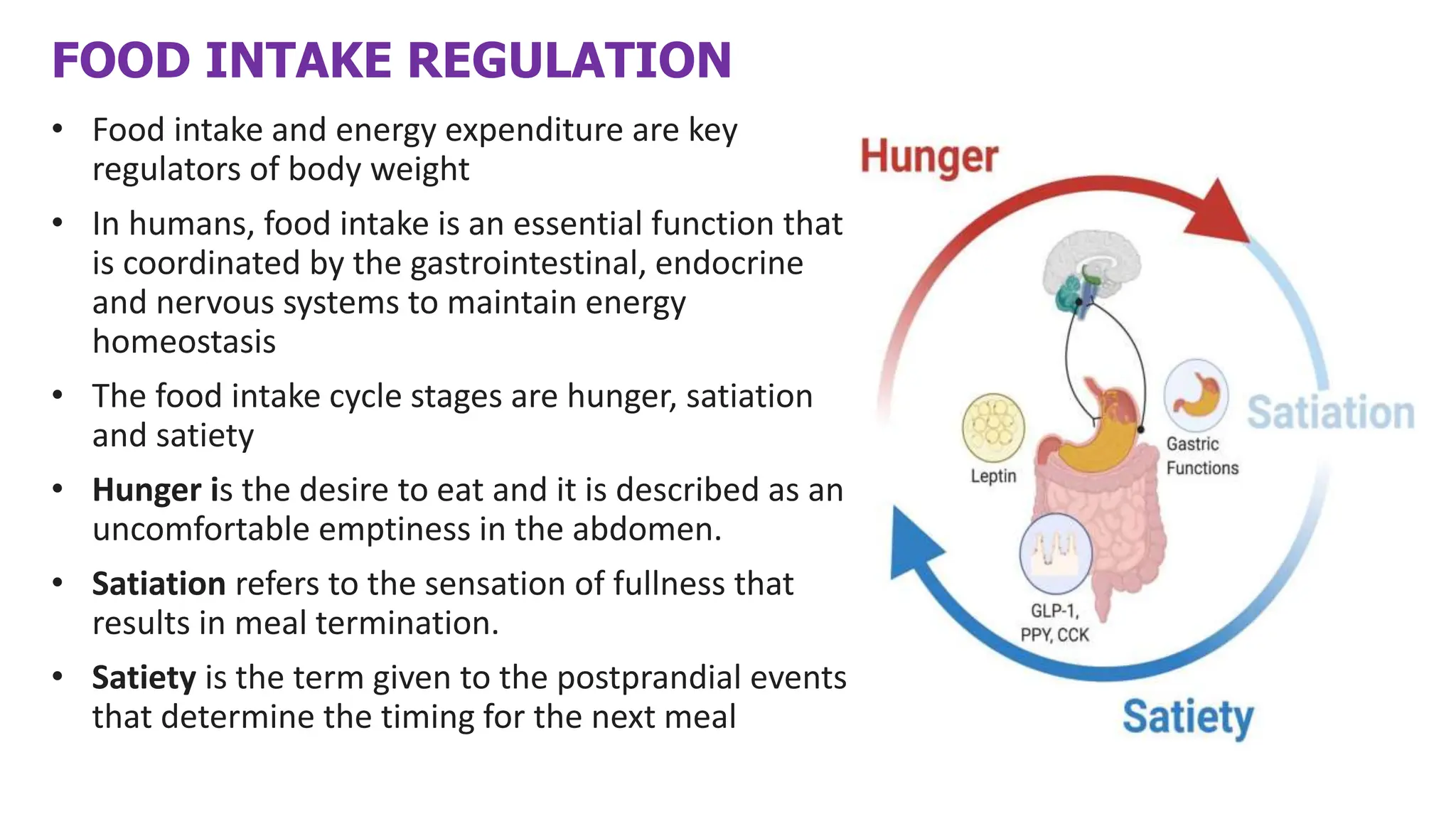 INTRODUCTION TO DIGESTIVE SYSTEjM-2.pptx
