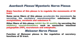 INTRODUCTION TO DIGESTIVE SYSTEM & NERVE SUPPLY.pptx