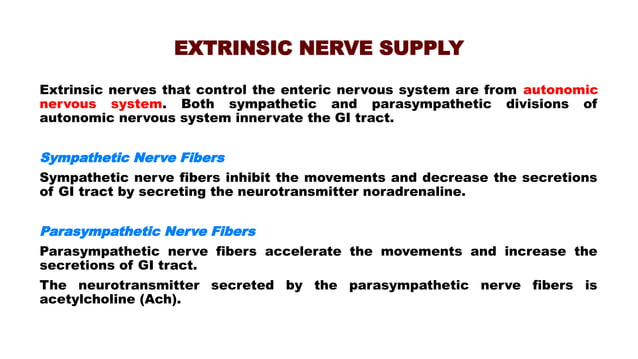 INTRODUCTION TO DIGESTIVE SYSTEM & NERVE SUPPLY.pptx