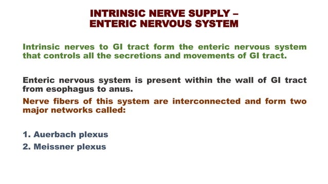 INTRODUCTION TO DIGESTIVE SYSTEM & NERVE SUPPLY.pptx