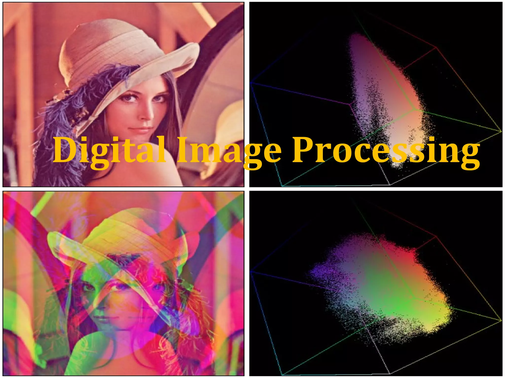 Introduction To Digital Image Processing Ppt Photo Editing Software Computer Software And