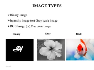 Introduction to Digital Image Processing | PPTX