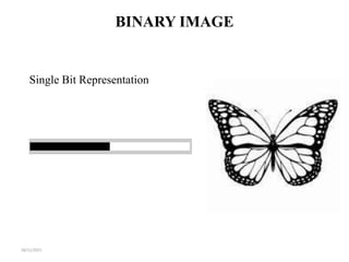 Introduction to Digital Image Processing | PPTX