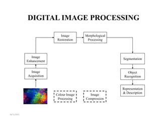 Introduction to Digital Image Processing | PPTX