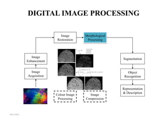 Introduction to Digital Image Processing | PPT