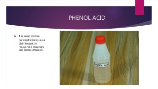 Introduction to disinfectant | PPTX