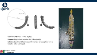 Introduction to djuvik | PPT