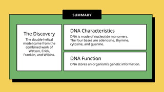introduction to DNA structure of DNA.pptx