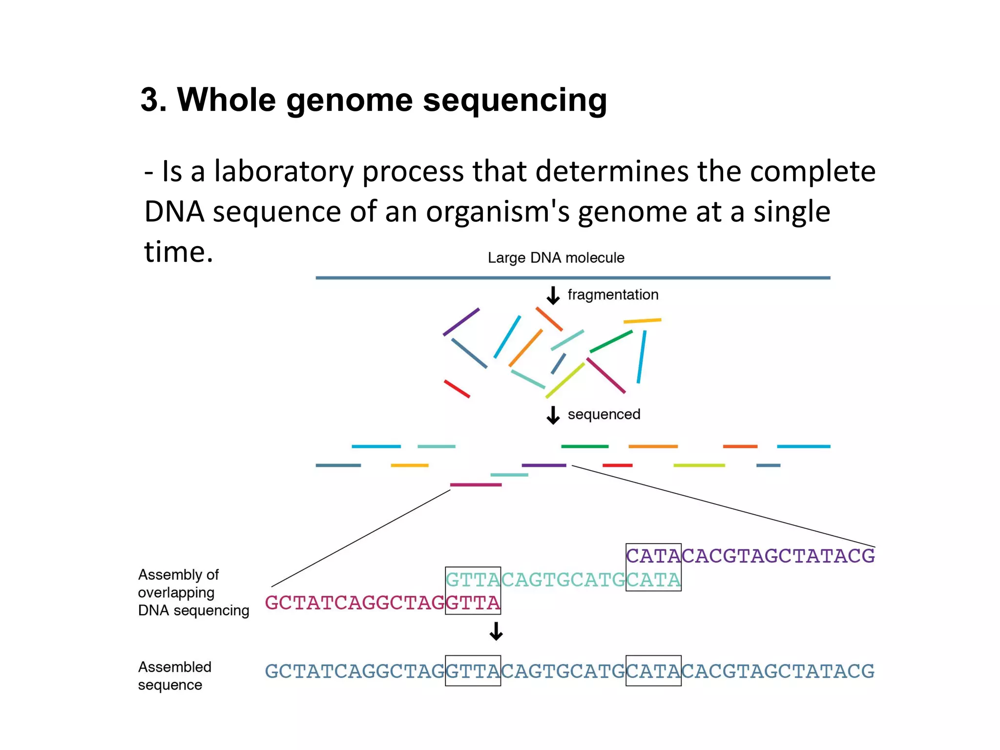 Introduction to dna_sequencing_may 2015 | PDF