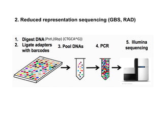 Introduction to dna_sequencing_may 2015 | PPT