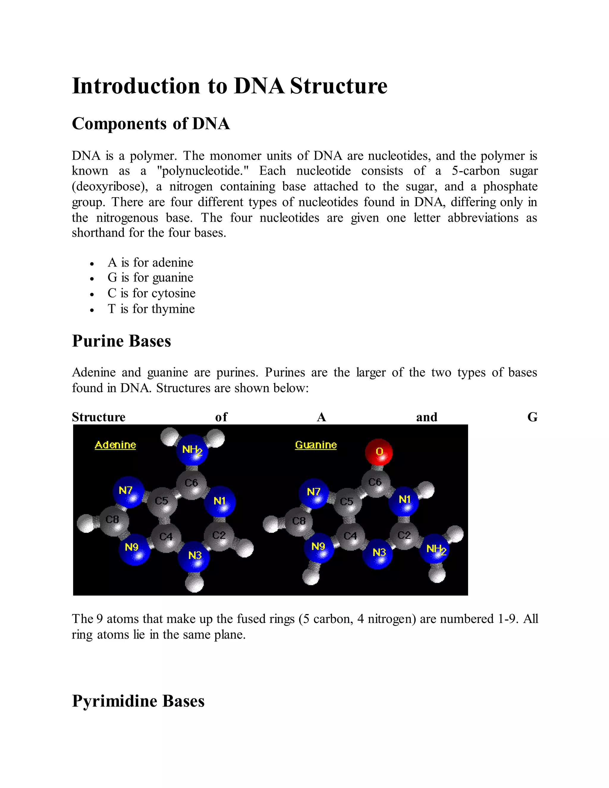 Introduction to dna structure | DOCX | Chemistry | Science