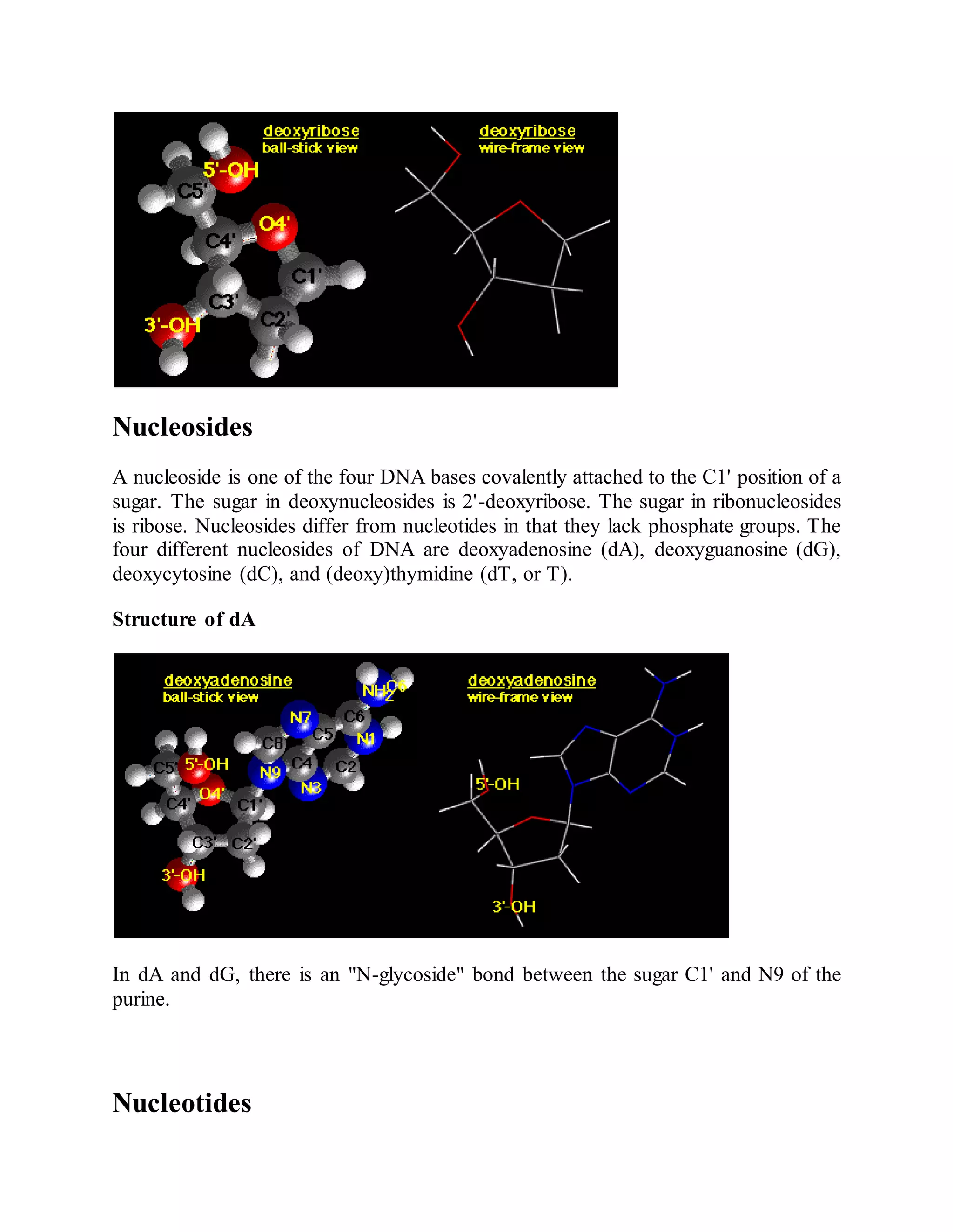 Introduction to dna structure | PDF