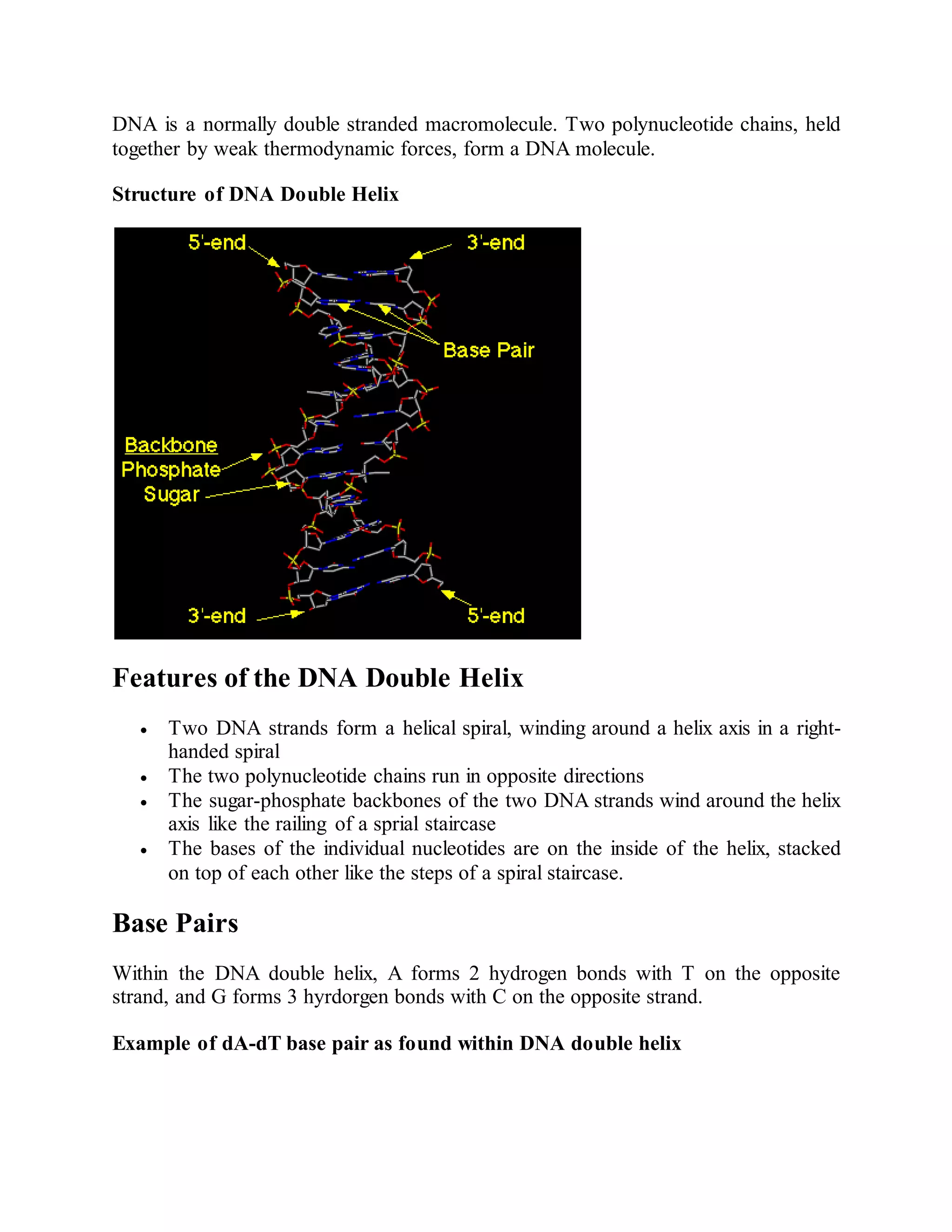 Introduction to dna structure | DOCX