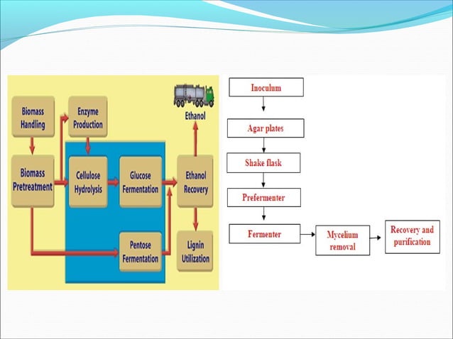 Introduction to downstream processes | PPT