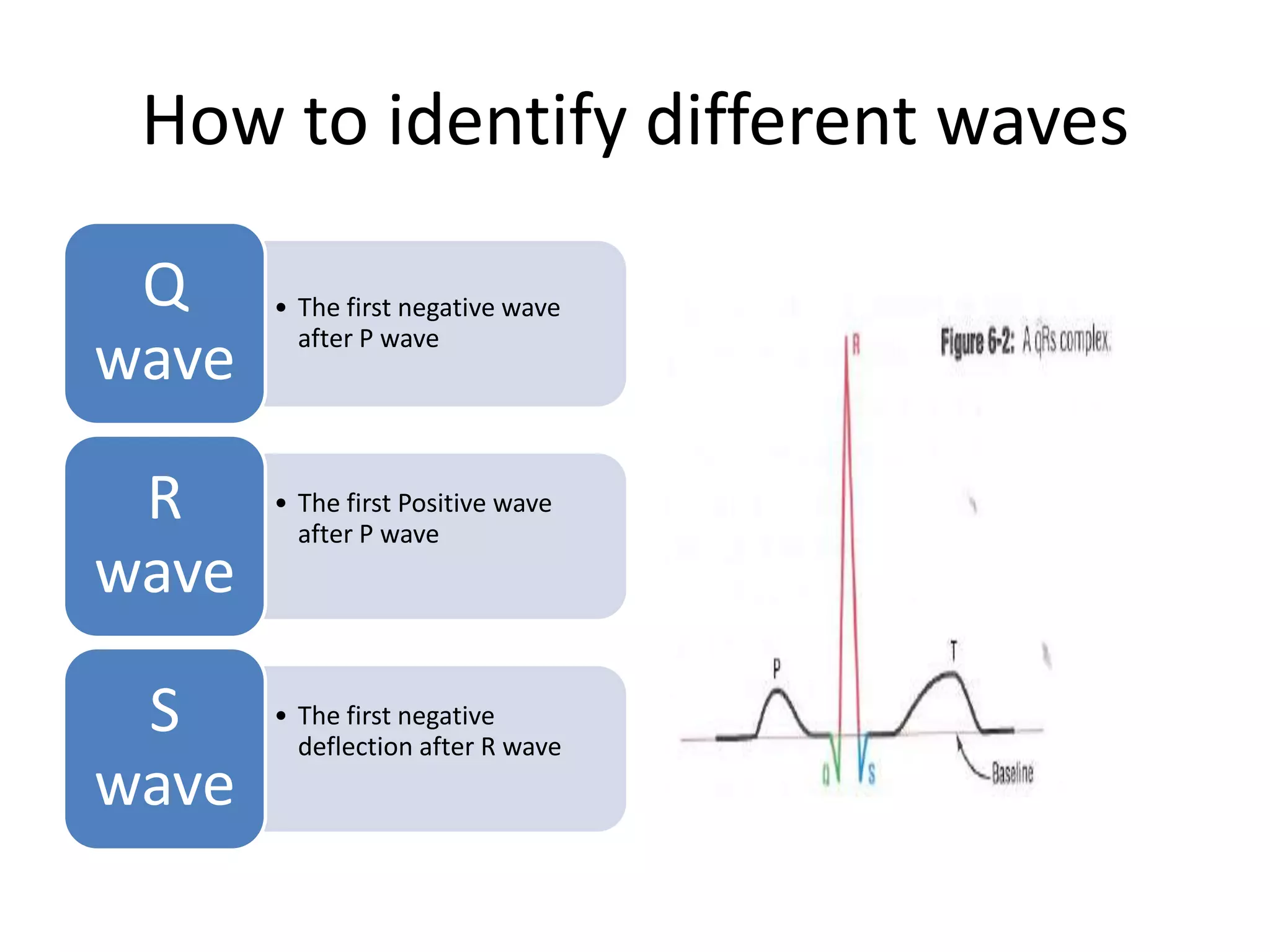 Introduction to ecg | PPTX