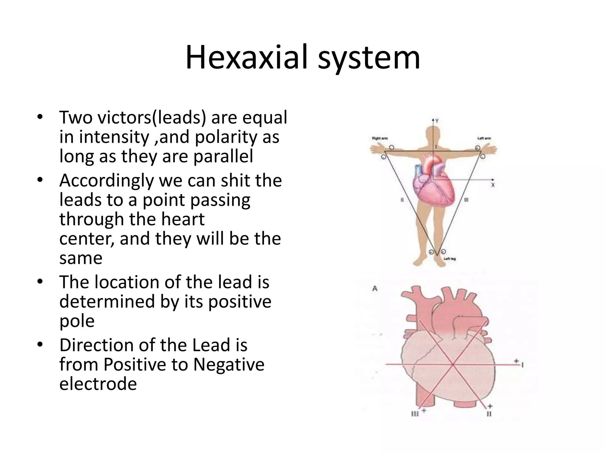 Introduction to ecg | PPTX