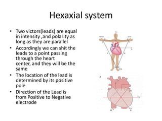Introduction to ecg | PPTX