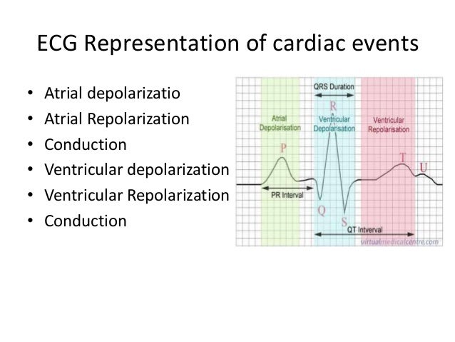 Introduction to ecg