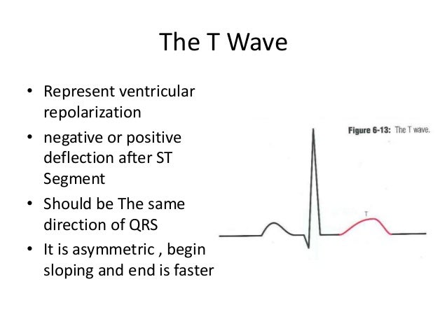 Introduction to ecg