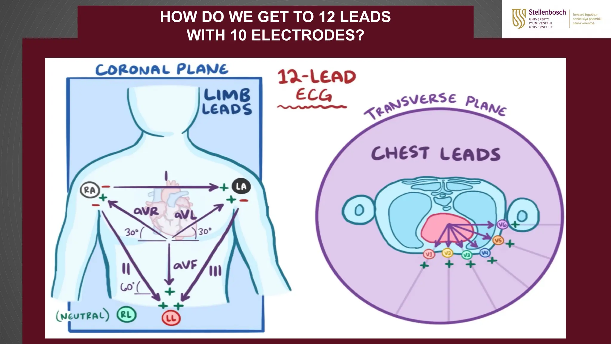 INTRODUCTION TO ECG (ELECTROCARDIOGRAM) EKG | PPTX
