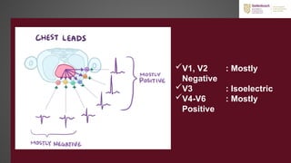 INTRODUCTION TO ECG (ELECTROCARDIOGRAM) EKG | PPTX