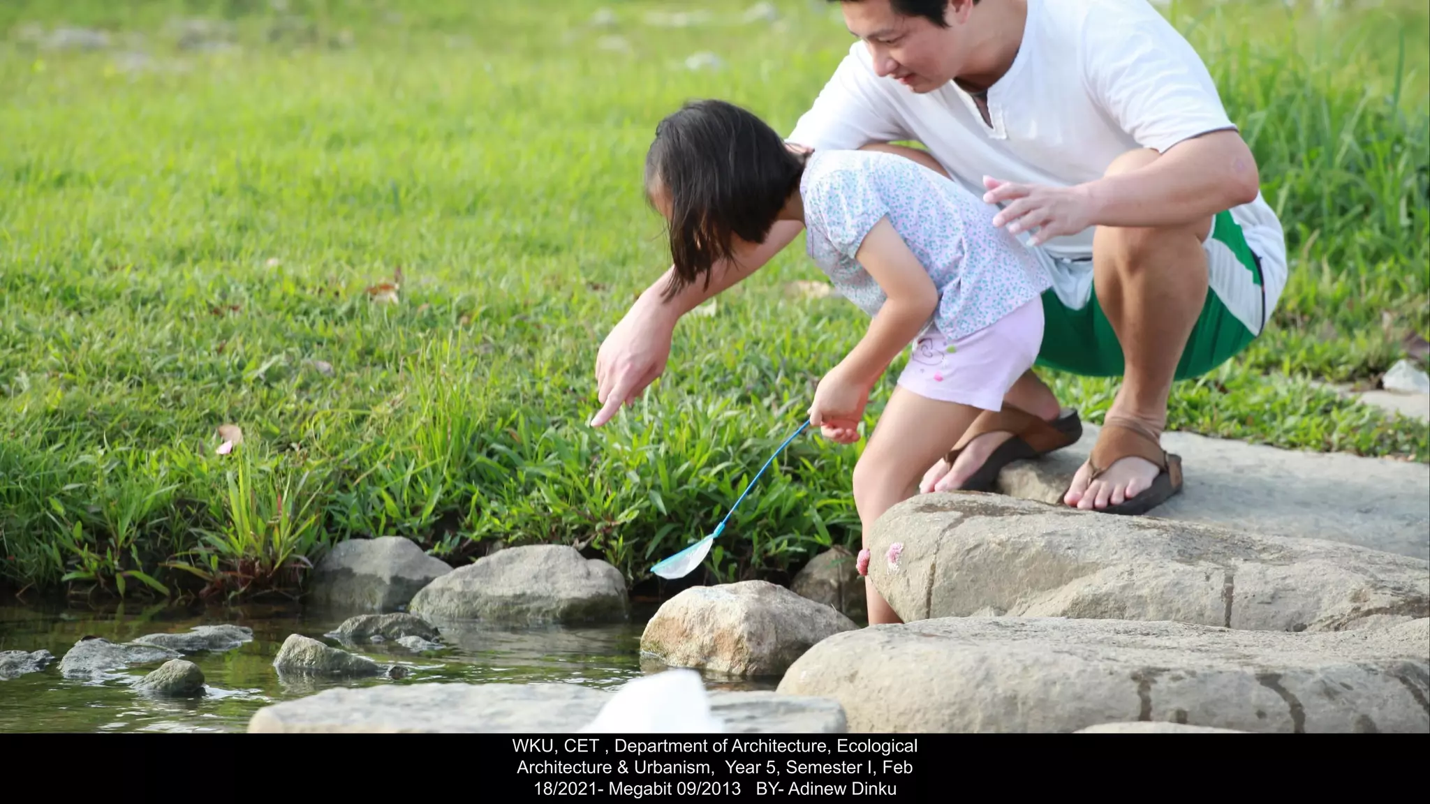 Design With Nature | PDF