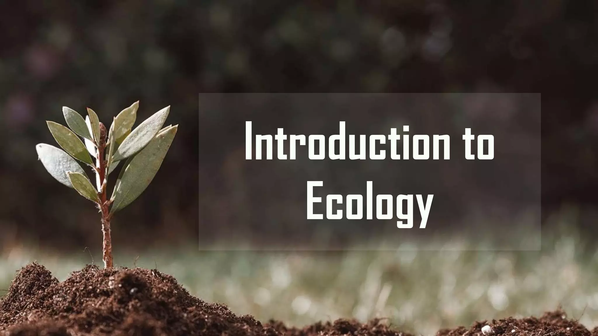 Introduction to Ecology PPT | PPTX