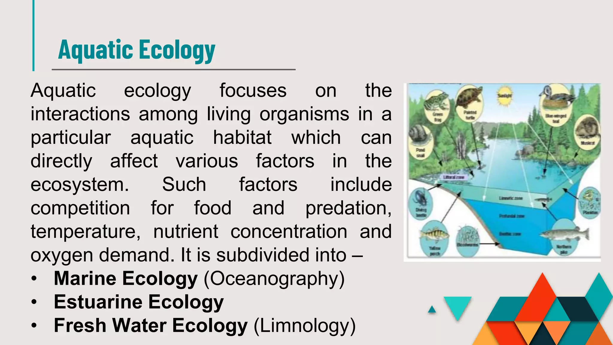 Introduction to Ecology PPT | PPTX