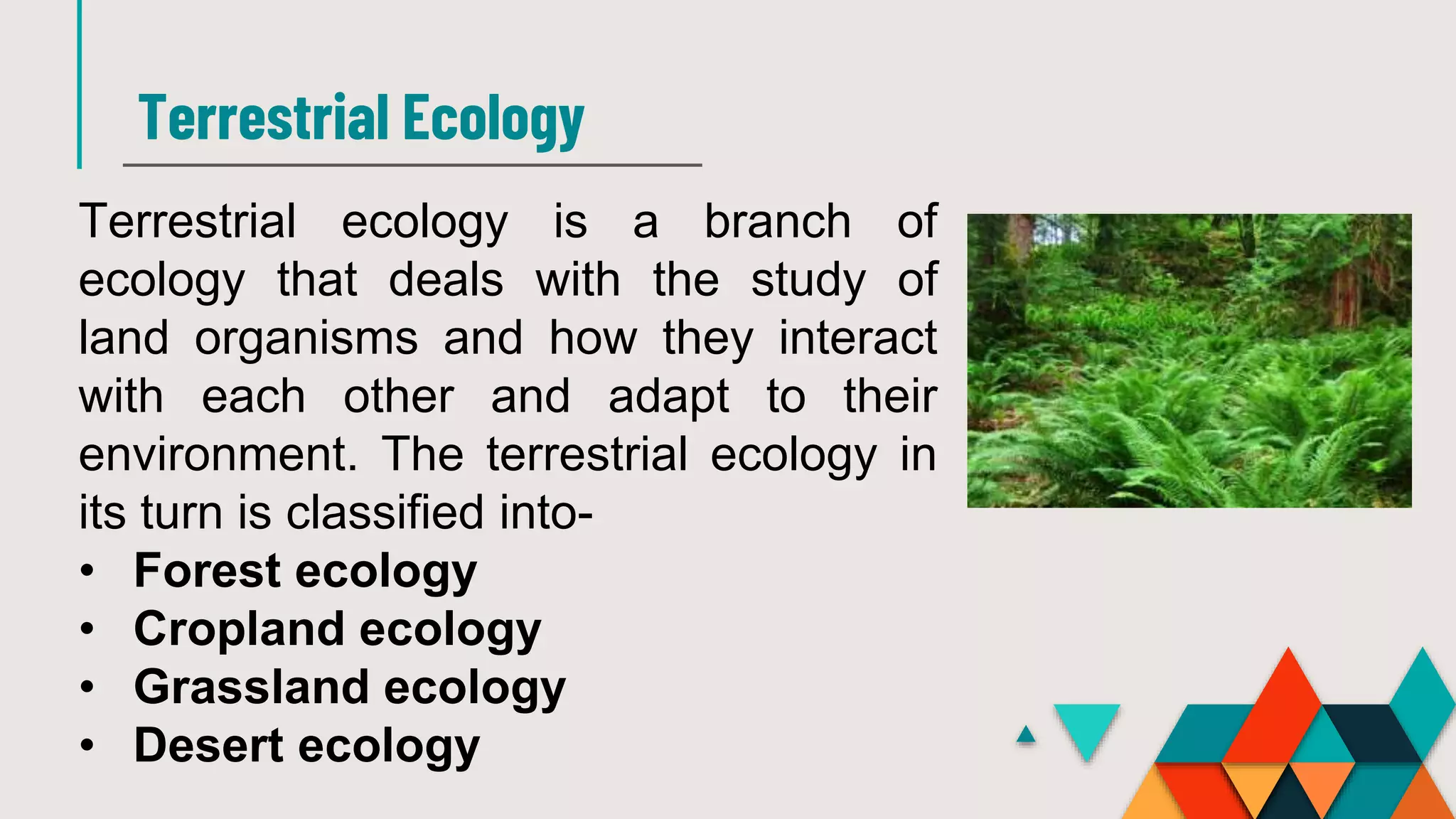 Introduction to Ecology PPT | PPTX