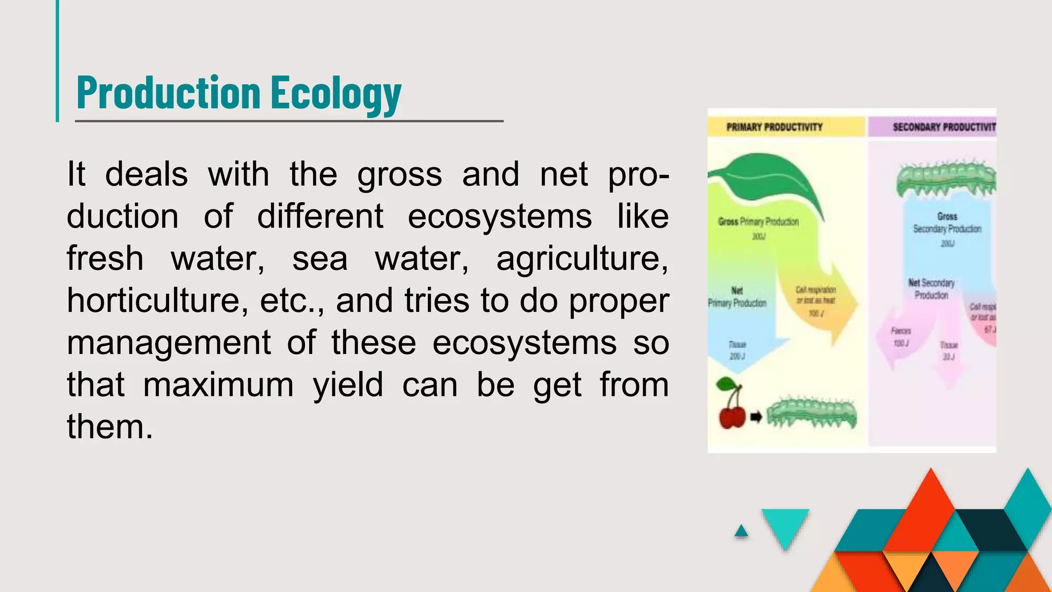 Introduction to Ecology PPT | PPTX