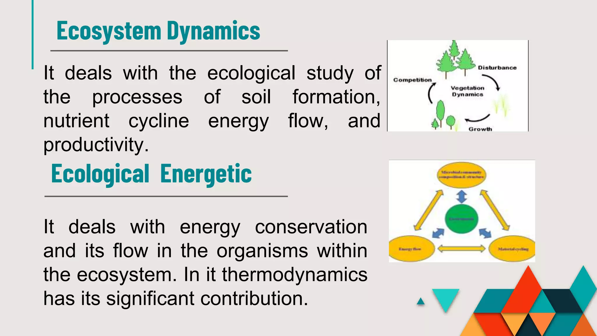 Introduction to Ecology PPT | PPTX