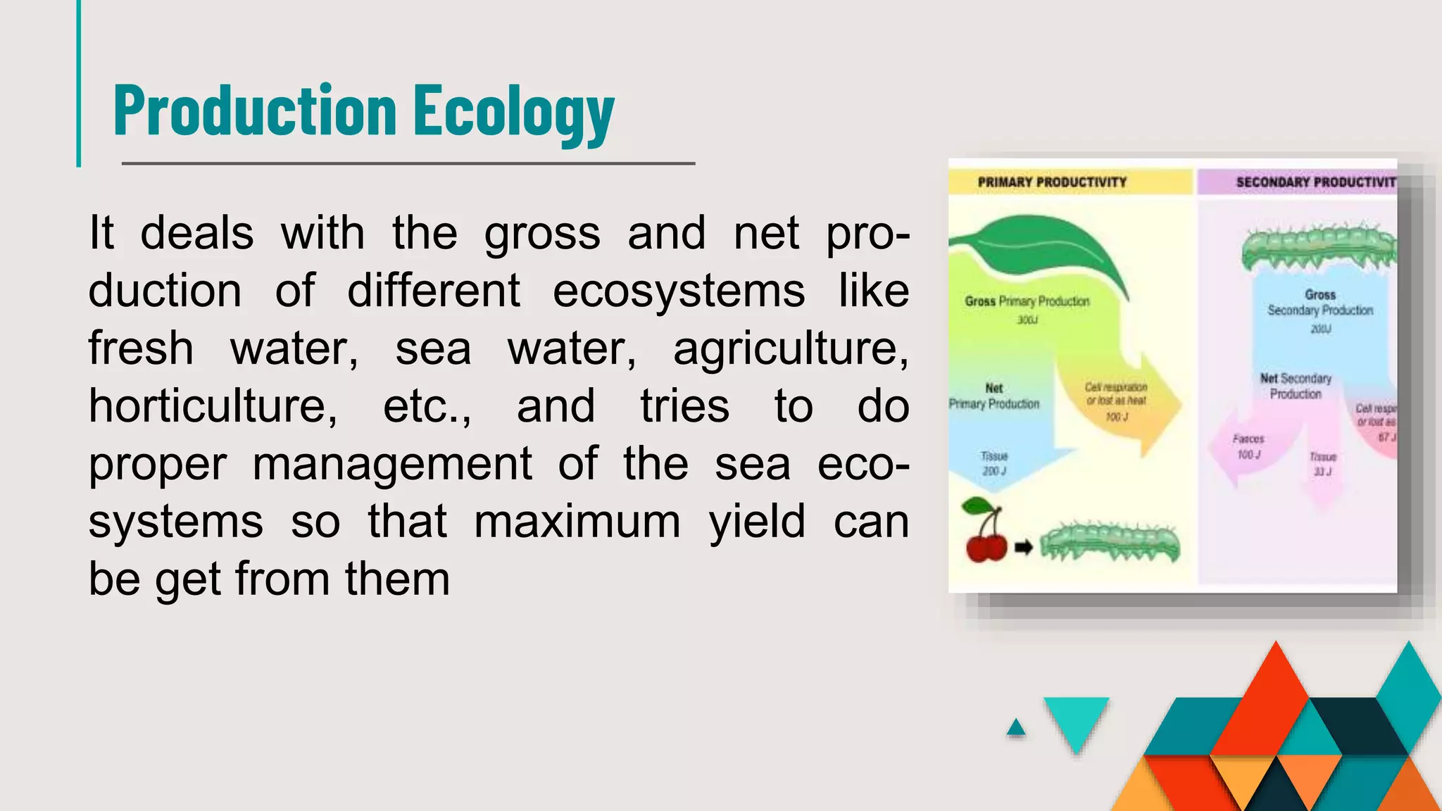 Introduction to Ecology PPT | PPTX