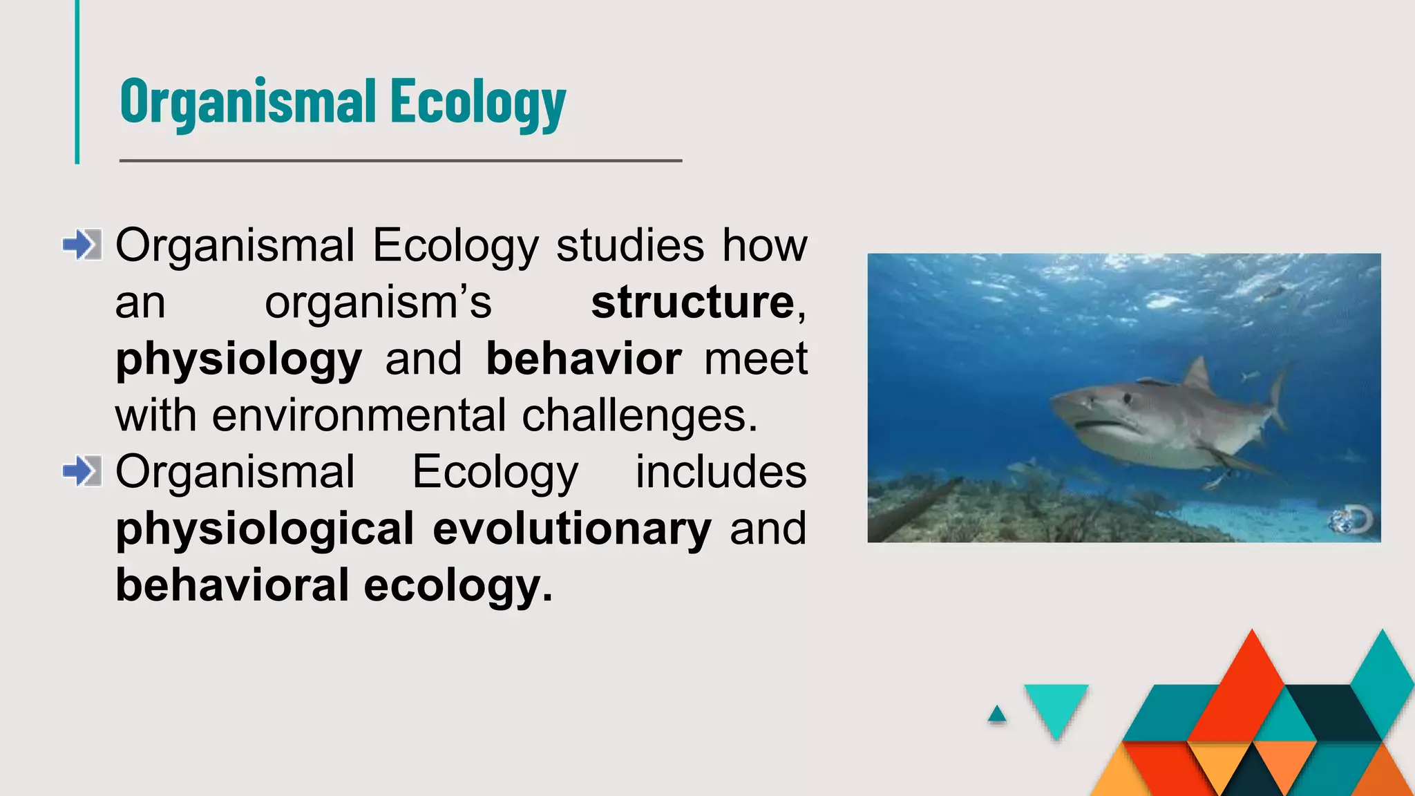 Introduction to Ecology PPT | PPTX