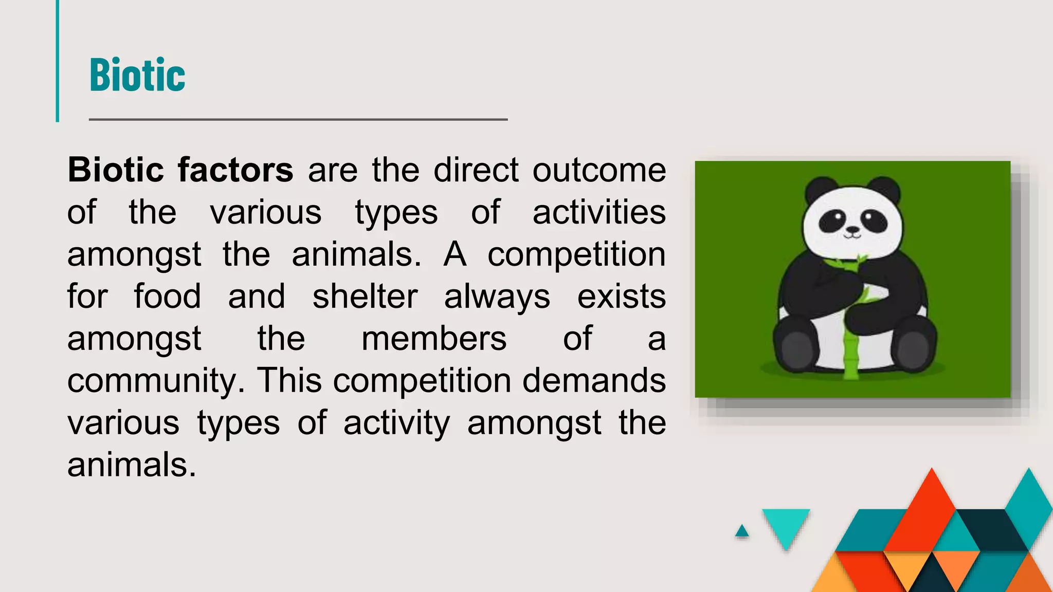 Introduction to Ecology PPT | PPTX