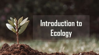 Introduction to Ecology PPT | PPTX