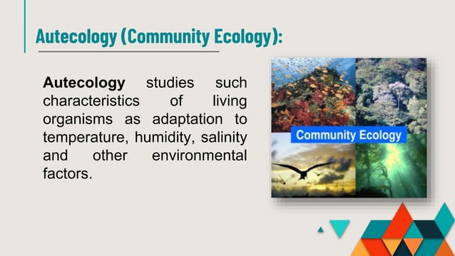 Introduction to Ecology PPT | PPTX
