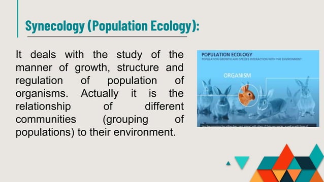 Introduction to Ecology PPT | PPTX