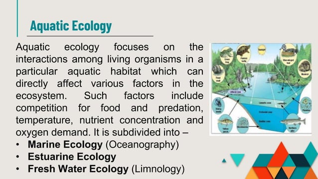 Introduction to Ecology PPT | PPTX