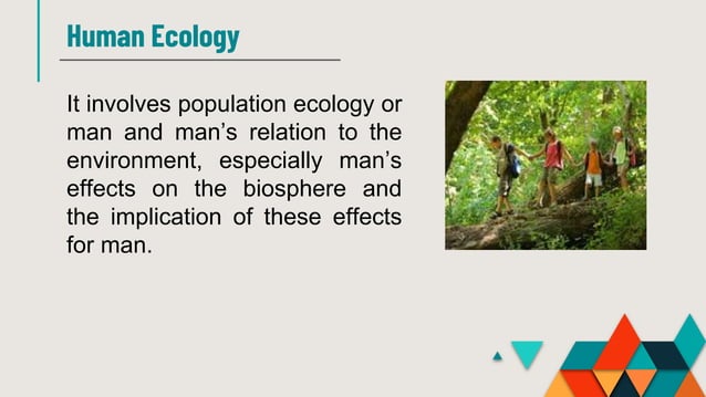 Introduction to Ecology PPT | PPTX