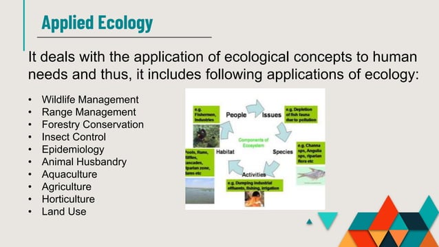 Introduction to Ecology PPT | PPTX