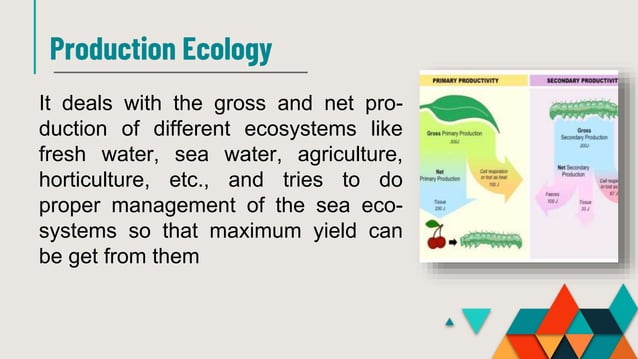Introduction to Ecology PPT | PPTX