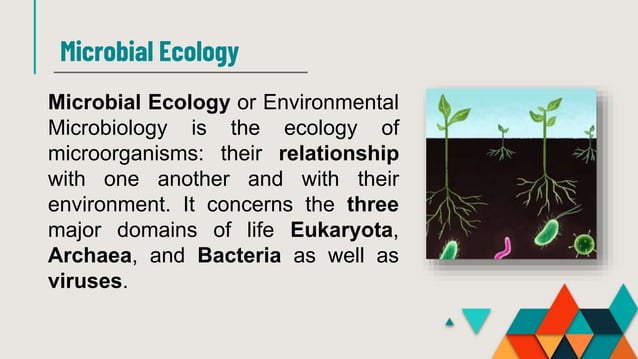 Introduction to Ecology PPT | PPTX
