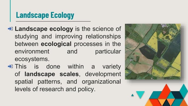 Introduction to Ecology PPT | PPTX